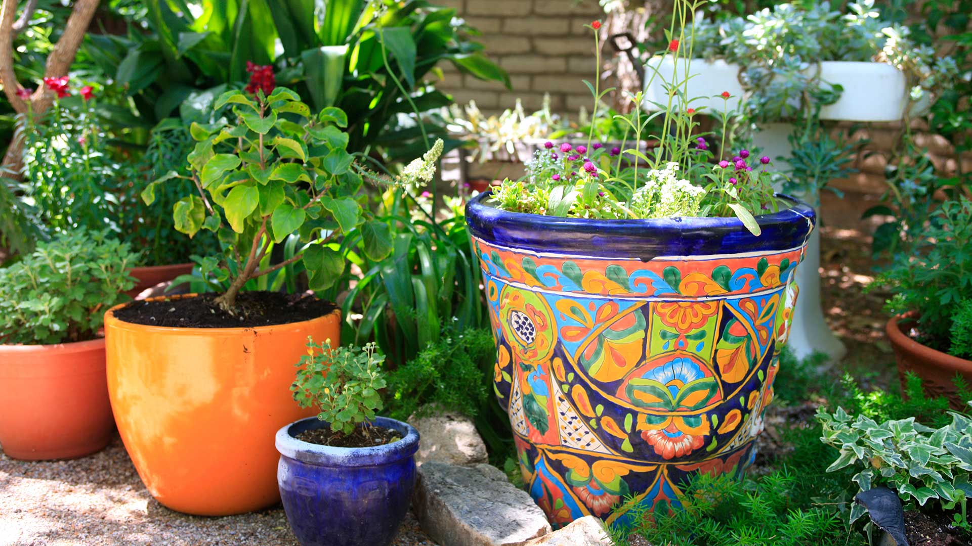 Eagle Crest Ranch HoA